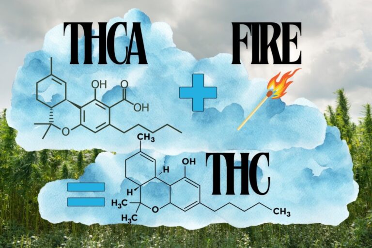 THC vs THCA: airing out the smoke of confusion | GreenState
