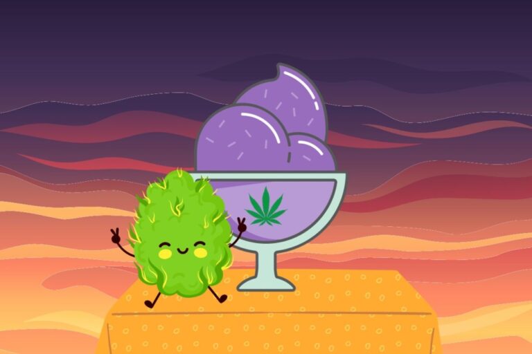 Sunset Sherbet strain review: all you need to know and more ...