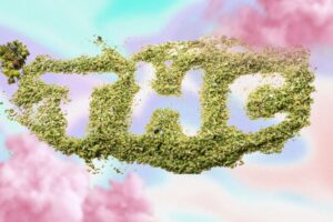 Powdered THC: what is it and how does it work? | GreenState