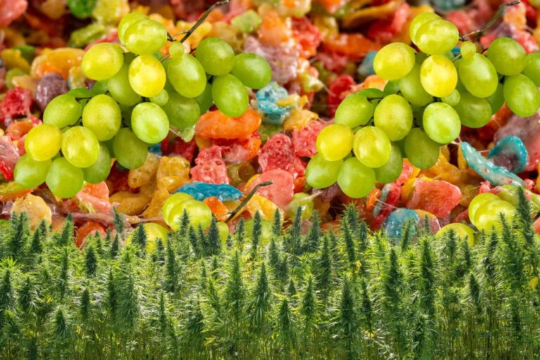 Sundae Driver strain review: a cool and mild weed cruise | GreenState