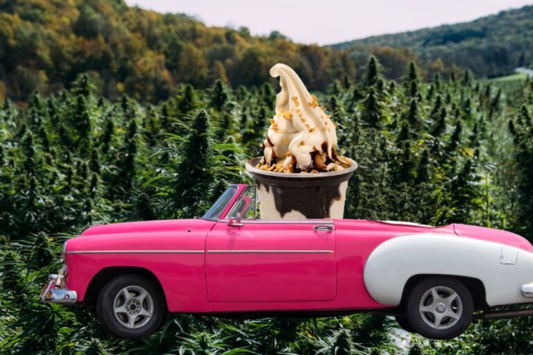 Sundae Driver strain review: a cool and mild weed cruise | GreenState