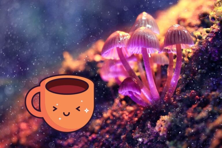 Shroom tea - how to make, dose, and enjoy | GreenState | GreenState