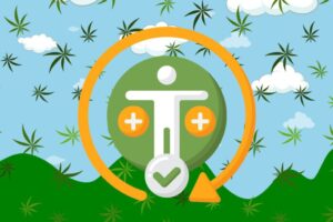 Marijuana detox: how to get THC out of your system | GreenState