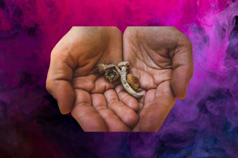 Can you smoke shrooms? Here are the facts | GreenState