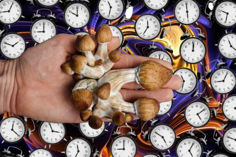 How long do shrooms take to kick in? The answer depends | GreenState