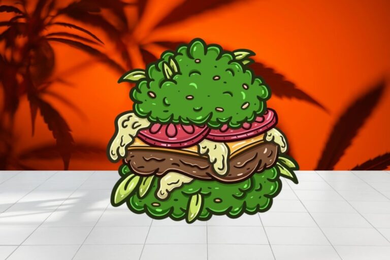 Hash Burger strain information, history, and effects | GreenState