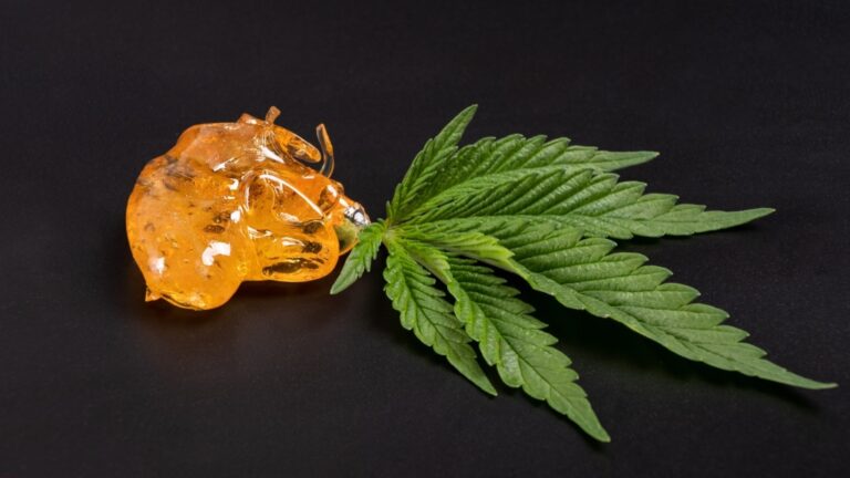 HTE: the cannabis extract changing the dab game | GreenState
